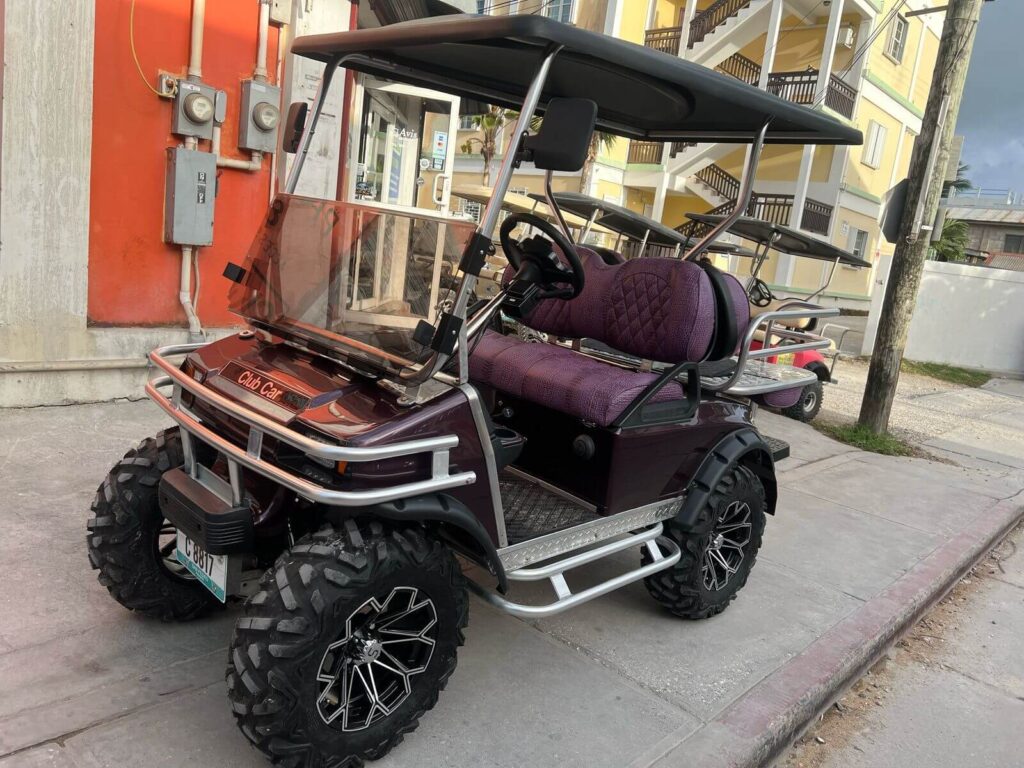 Home - Mark's Cart Rentals